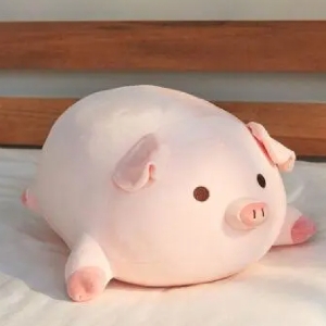 猪头饰头猪 