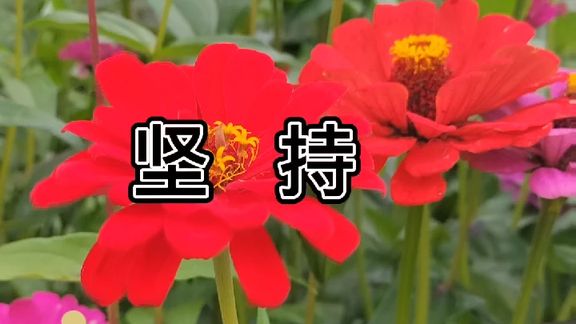 坚定信念,一直向前,你看到什么?