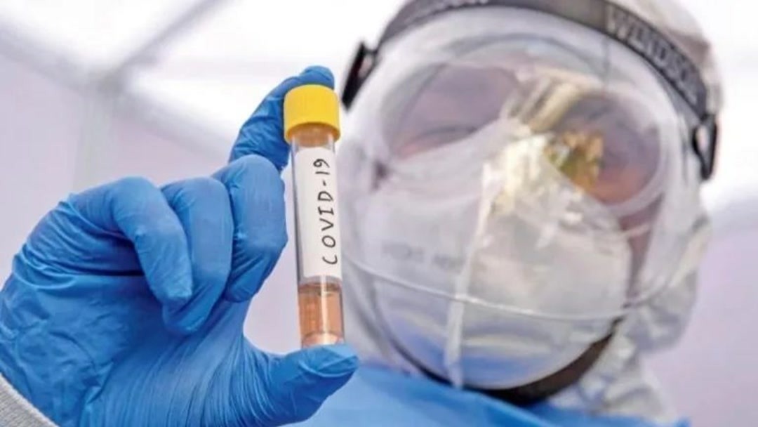 最新研究:感染新冠病毒10个月后仍有抗体