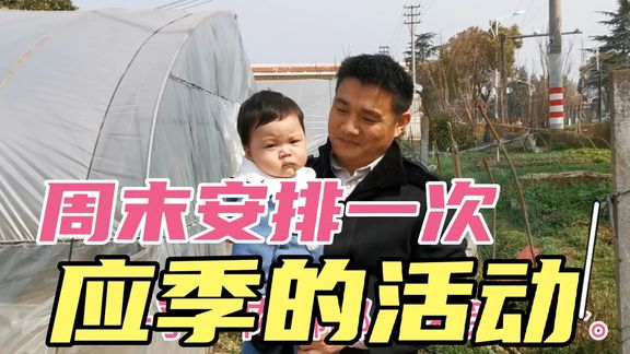 周末天气晴朗,安排一次,应季的活动。