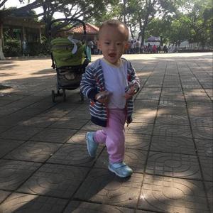 爱拼之自由职业生活 