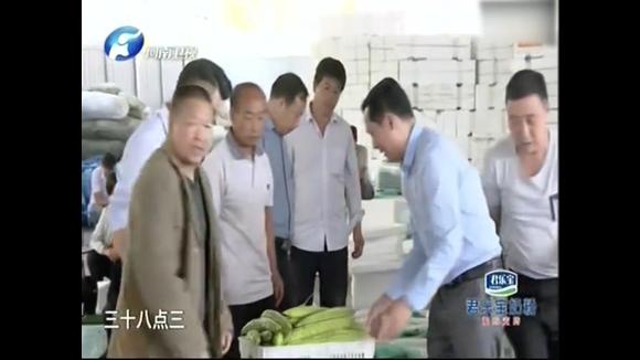龙头企业+合作社+农户的政策模式的具体内容是什么?