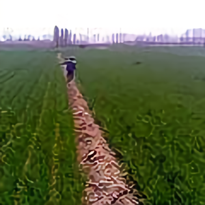 西风瘦马天涯客 