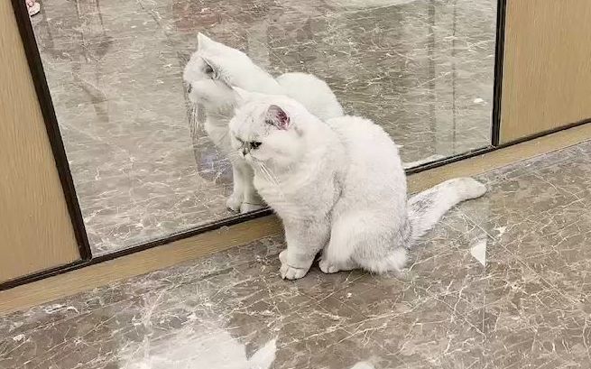 直播装修 饭团小夫妻2022.4.30直播录制