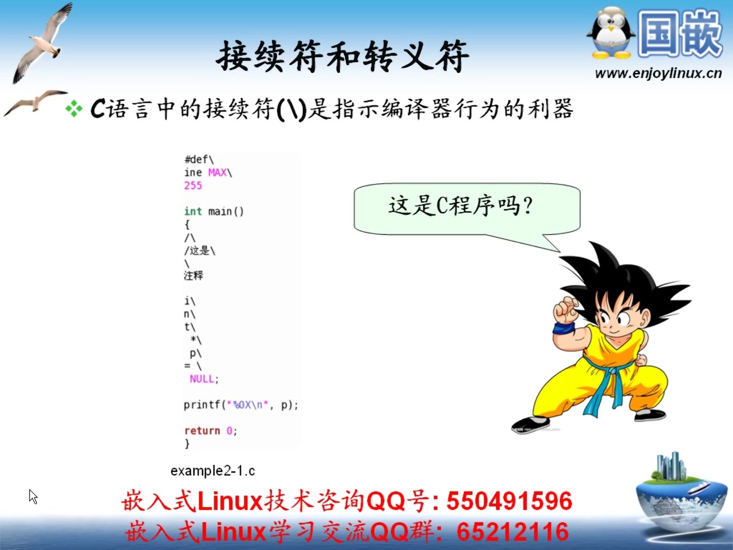 2.多维数组和多维指针_P