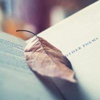 学习这个苦要吃 