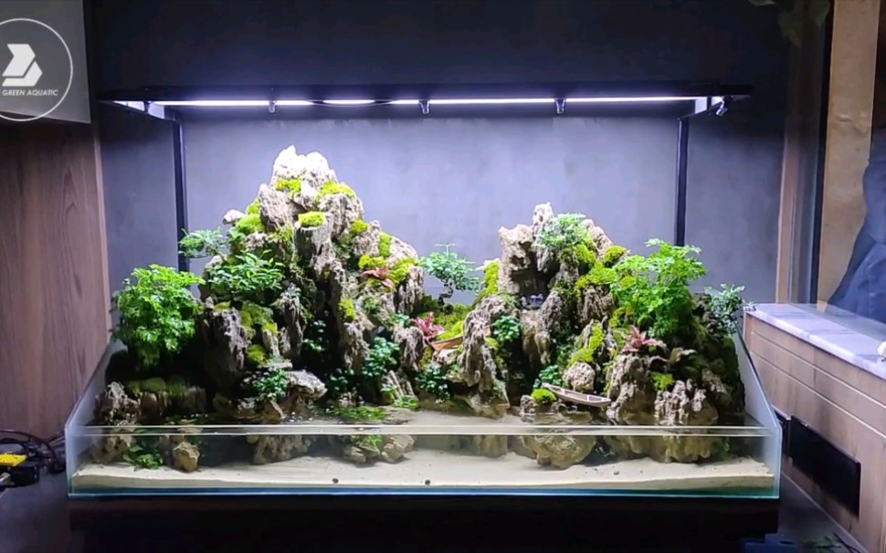 #草缸造景#一个一米二水陆造景缸开缸