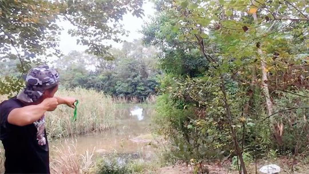 弹弓教学:10米远估打和30米远距离瞄打实战,新手玩弹弓百发百中