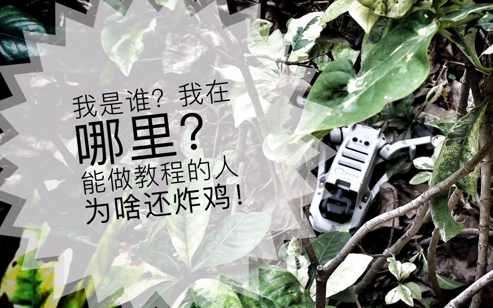 大疆MAVIC MINI第一次炸机