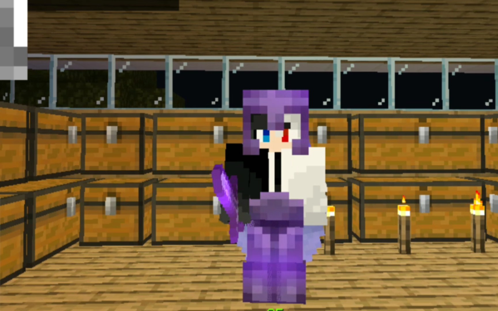 我的世界小技巧(宣传服务器)56170028