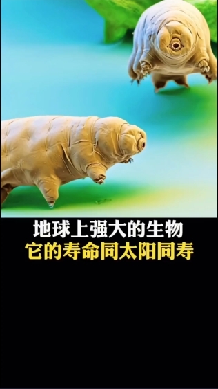 世界上寿命最长的动物