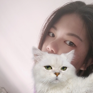 爱吃西瓜的小肥猫 