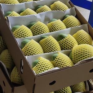 农民日常生活520 