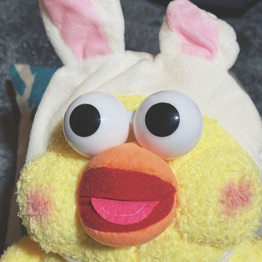 二二本正经百科全书 