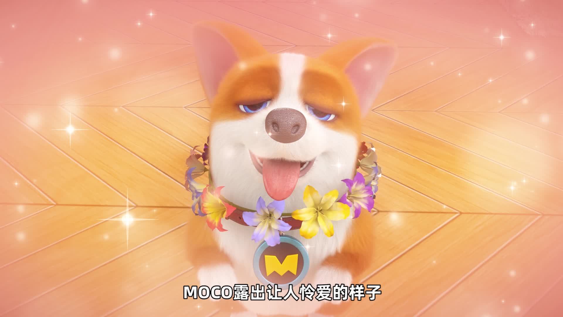 飞狗MOCO:谁让咱长得这么惹人爱呢
