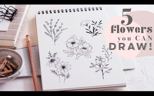 【针管笔】手绘花卉教程