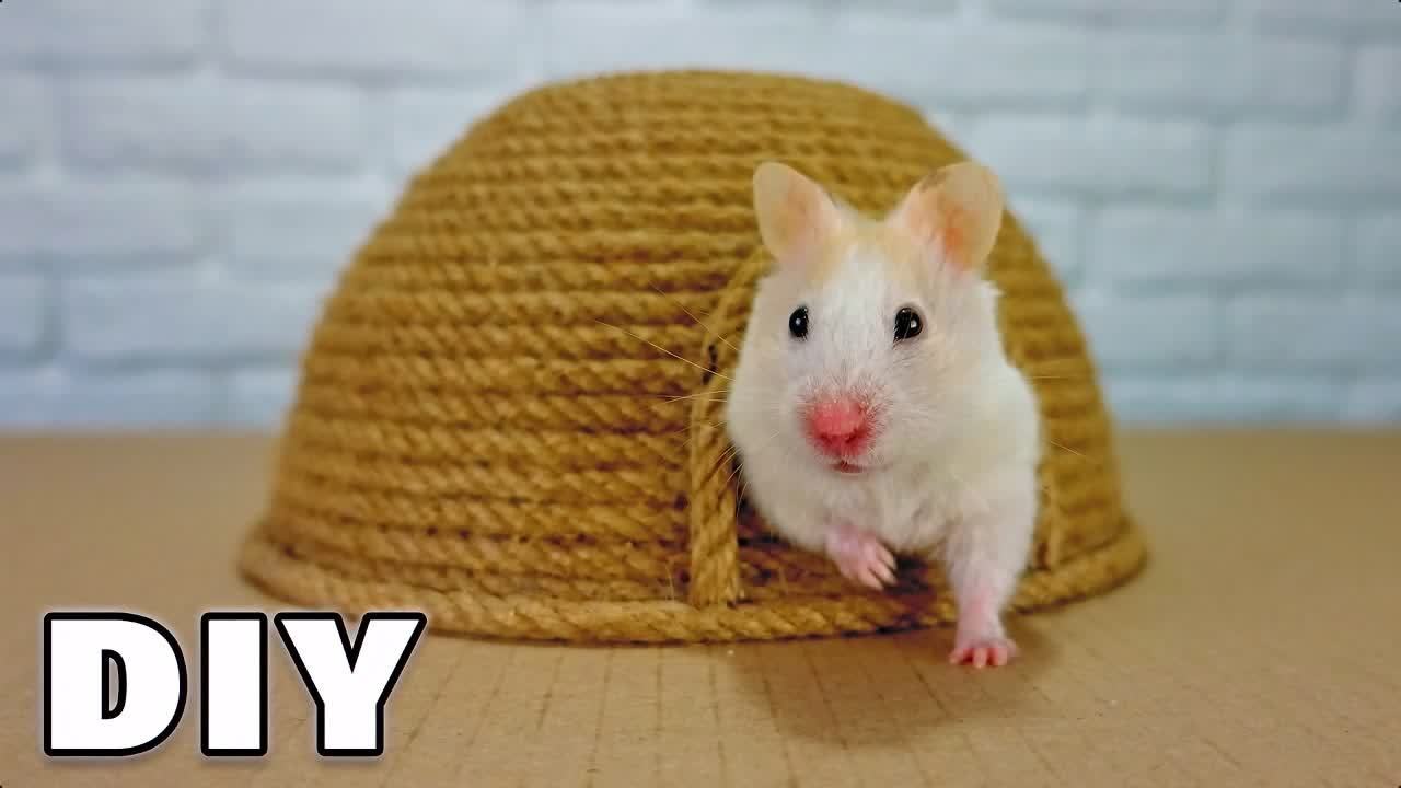 小仓鼠乐园:DIY建造仓鼠黄麻绳屋,给仓鼠制作小房子