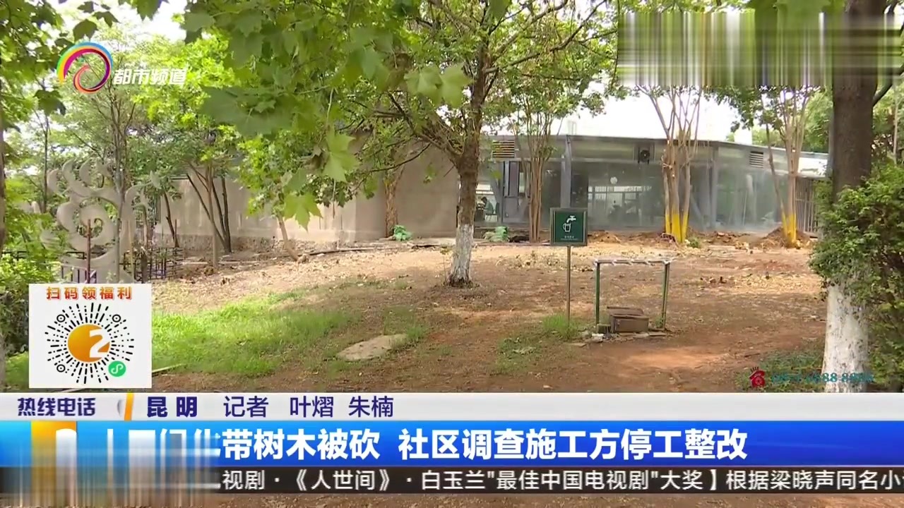 小区绿化带树木被砍社区调查施工方停工整改