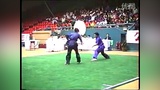 第八届全运会武术套路预赛(男子赛区)02-02-21