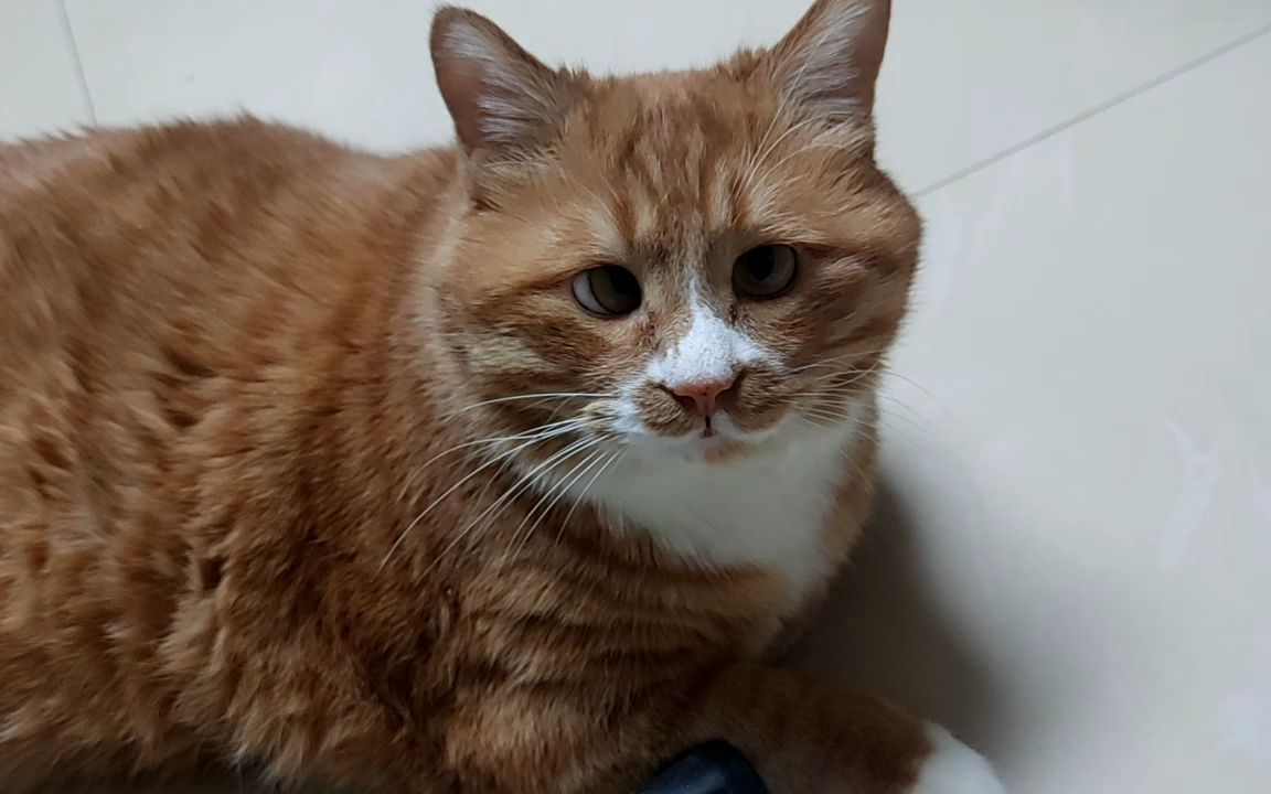 亨德尔 Adagio in E 古典吉他复调教程 37