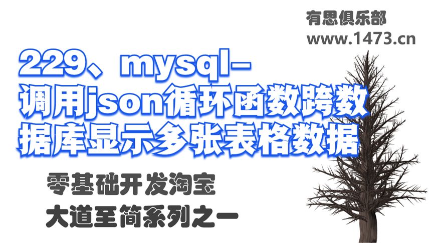 229、mysql-调用json循环函数跨数据库显示多张表格数据