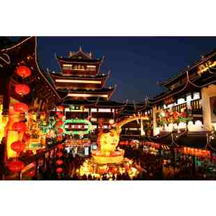 庄鑫首席数据官 