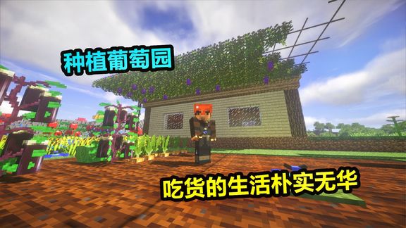 我的世界:暗墨的生存 11 吃货的生活朴实无华种植葡萄园