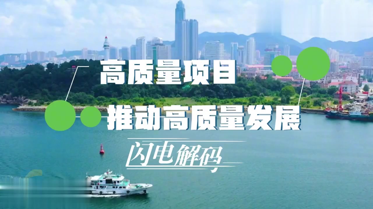 闪电解码|高质量项目推动高质量发展