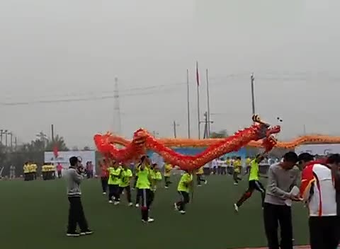 沧州师院 舞龙舞狮社团 某运动会开幕 表演在线播放网,视频高清在线观看