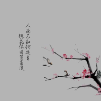 怀噢说娱乐 