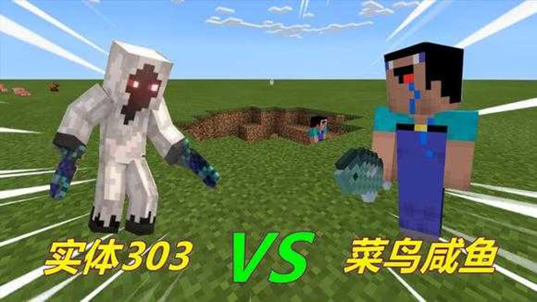 我的世界：实体303和菜鸟的对决，303趁虚而入最后把菜鸟吊起来了