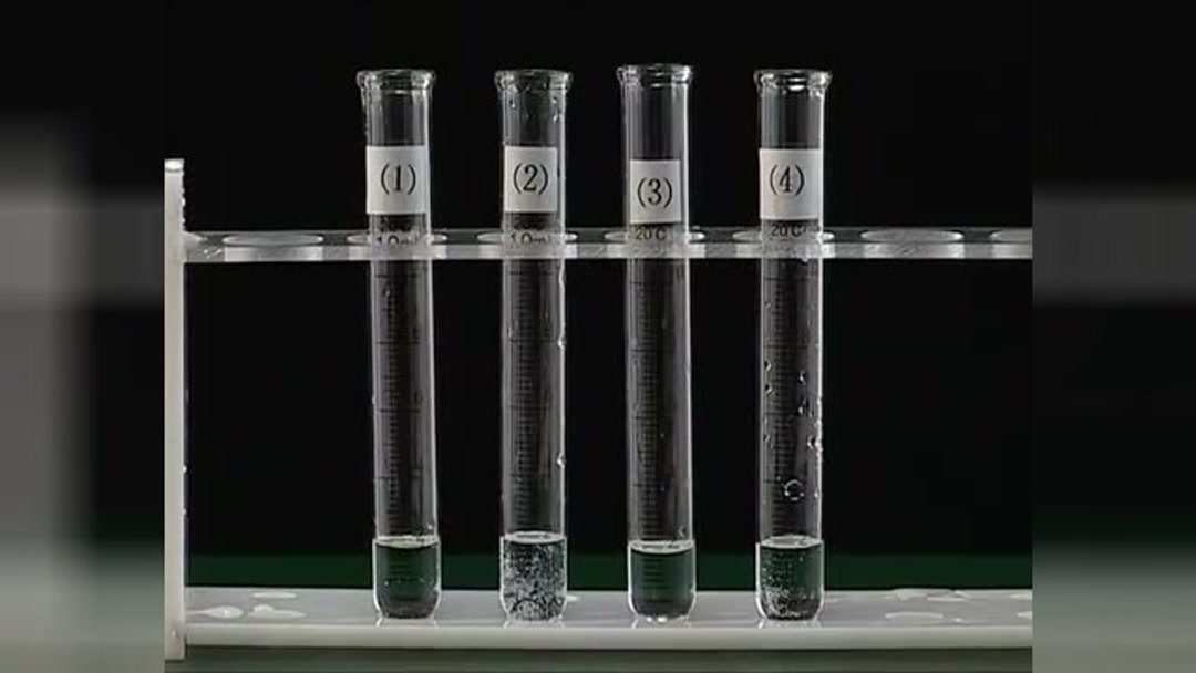 新课程高中生物演示实验(一)05比较过氧化氢在不同条件下的分解