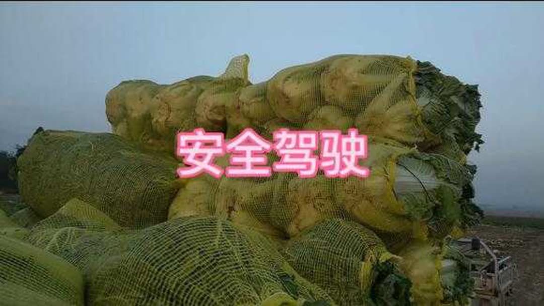 运输工具,农用三轮车按了电起动。