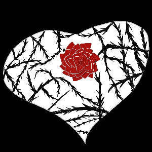 沧海一木大木头 