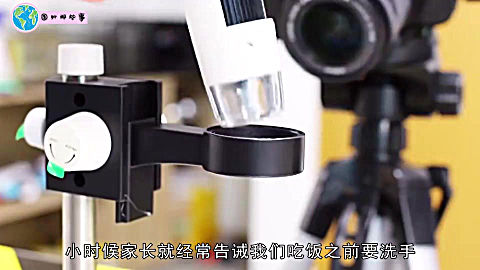 不洗手会有多少细菌用显微镜放大倍观看,有点后怕