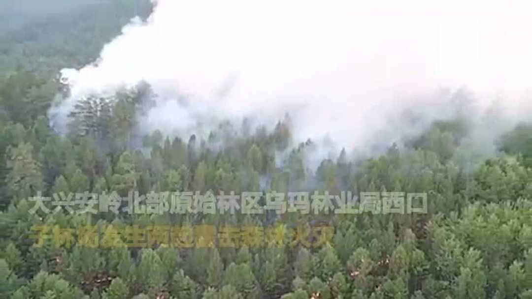 内蒙古大兴安岭北部原始林区发生两起森林火灾