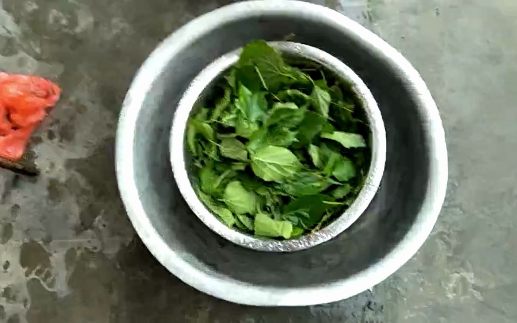 采摘斑鸠叶做豆腐,这个富含多种维生素和氨基酸,夏天吃了清热解毒