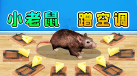 辉哥玩游戏 第一季 第121集 老鼠模拟器:老鼠的危险一天,去人类别墅蹭...