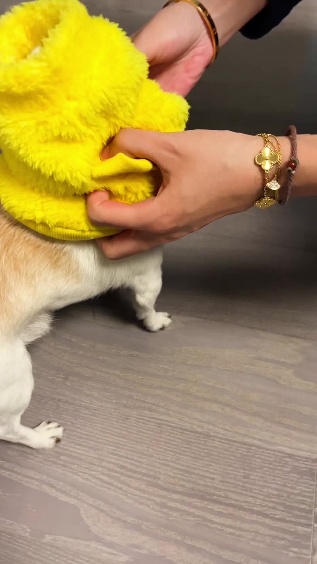 #萌宠 #狗狗衣服 #萌宠出道计划