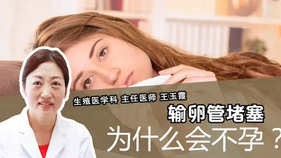 输卵管堵塞为什么会不孕?原因需谨记,对症治疗是关键