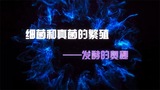 【生物大师 初中常考】细菌和真菌的繁殖发酵的奥秘(修正版)