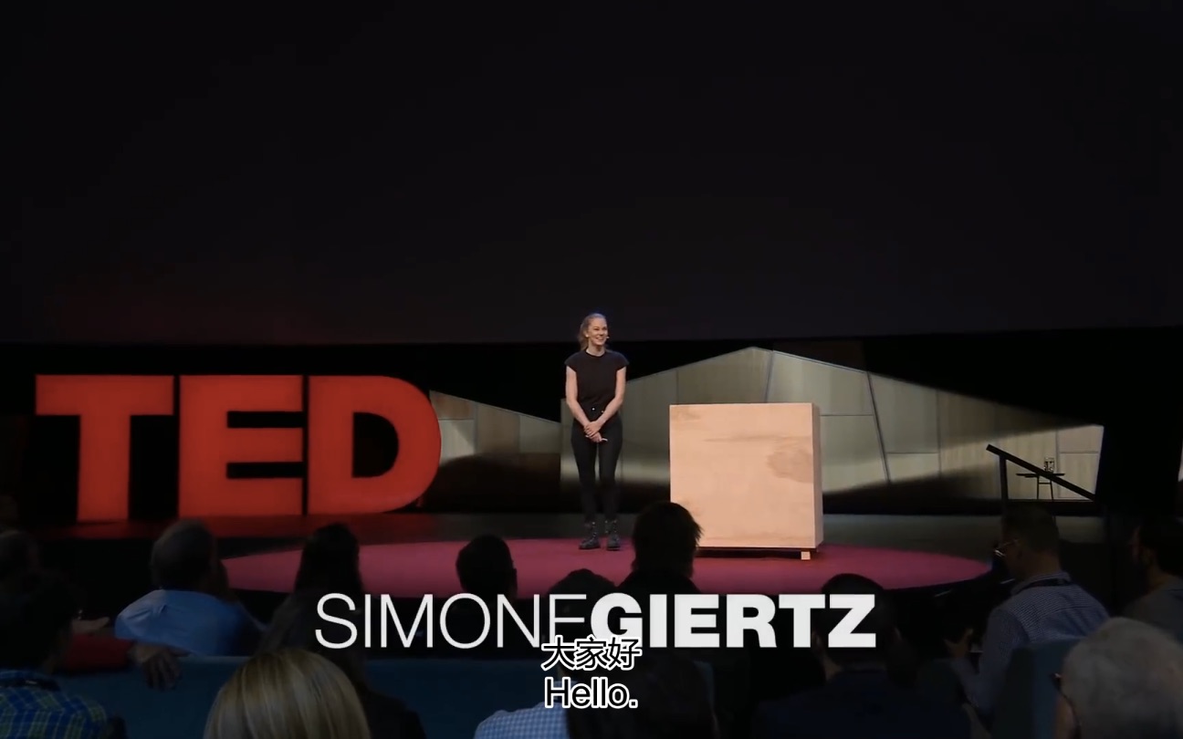 【TED中英字幕】为什么你应该做那些别人觉得没用的事物 - Why you ...