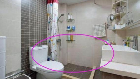 头一次见卫生间这样做干湿分离,回家我想砸了重装,太聪明了!