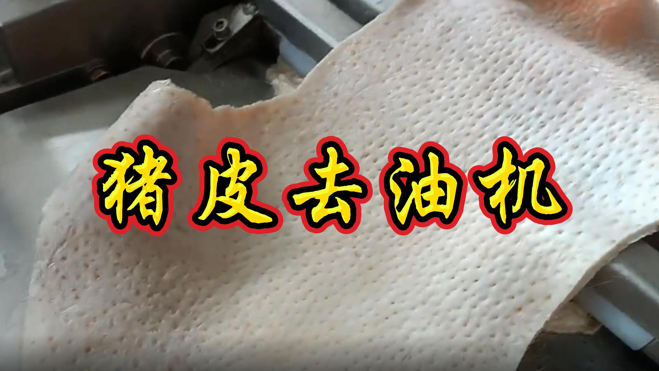 #多功能猪皮去油机 快速刮猪油,生皮~熟皮均可脱油脂! #鸡皮去油机 #...