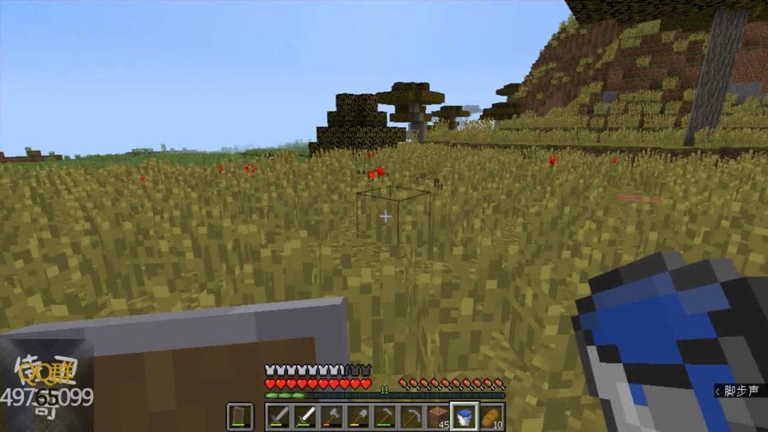 我的世界生存第7期-04用水清理草