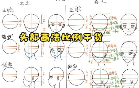 人体画法练习干货01| 头部及五官正确比例 |新手必备