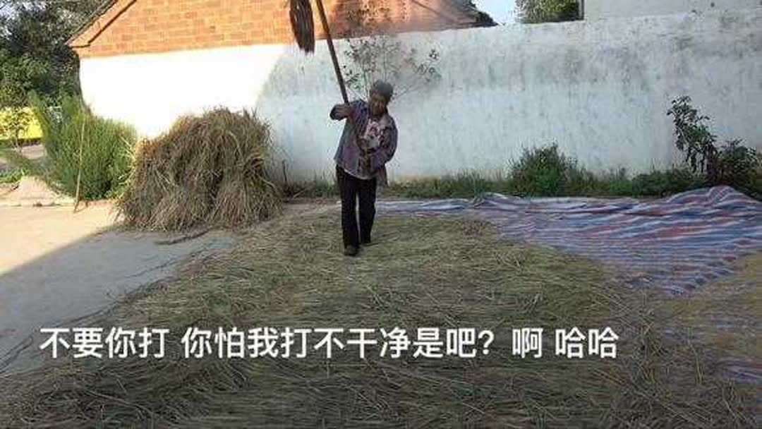 又到秋收季,农村最原始纯手工打稻谷方式,农民一辈子也忘不了