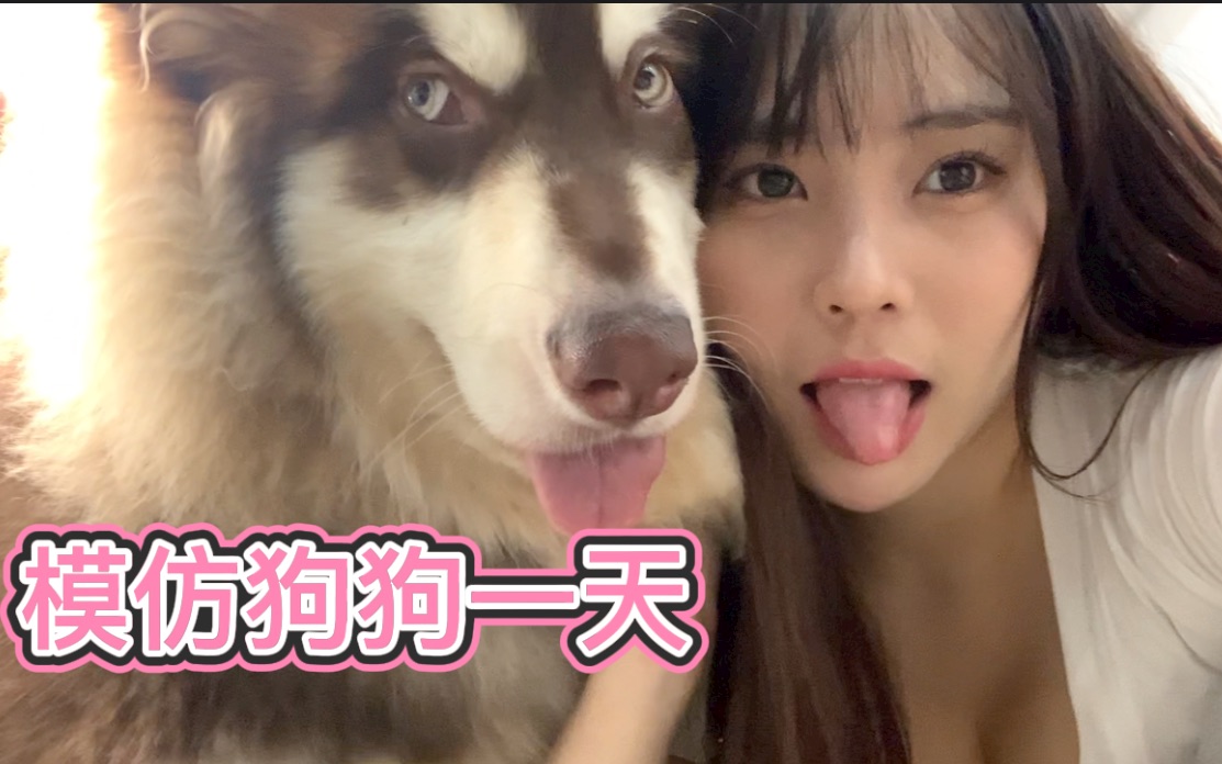 模仿狗狗一天,才发现它这么可爱