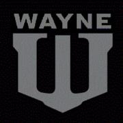 老司机-wayne 