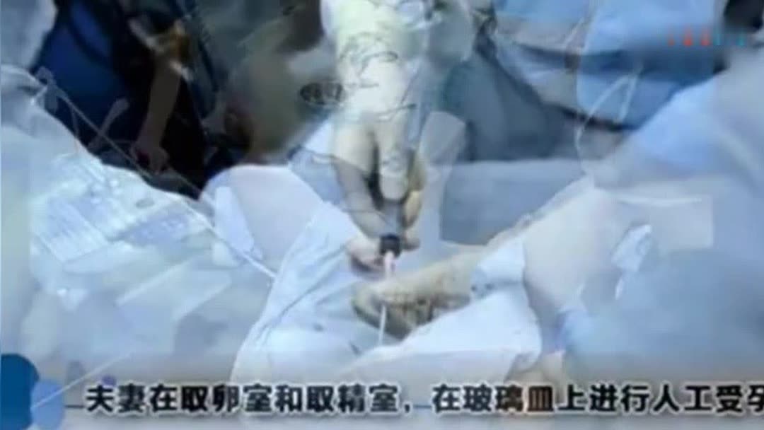 讲解试管婴儿的全过程